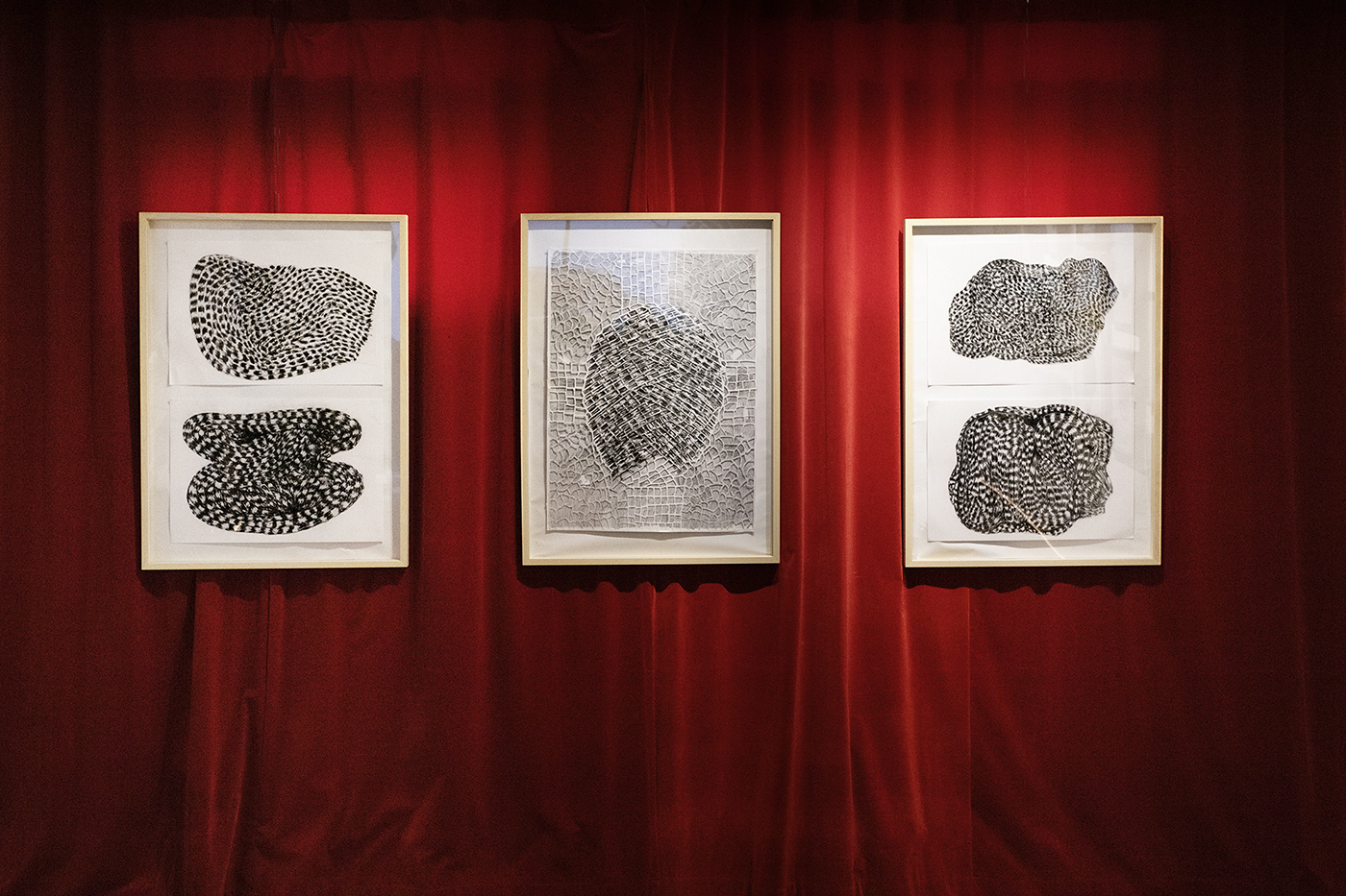 FORMATO / ESCAPATORIA - Abel Robino